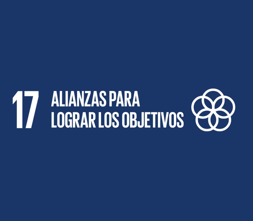 ODS 17: ¿Una nueva esperanza?
