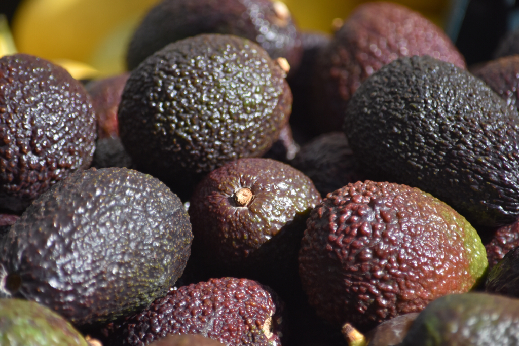 Más de 624 mil toneladas de palta peruana se exportarán en el 2023.