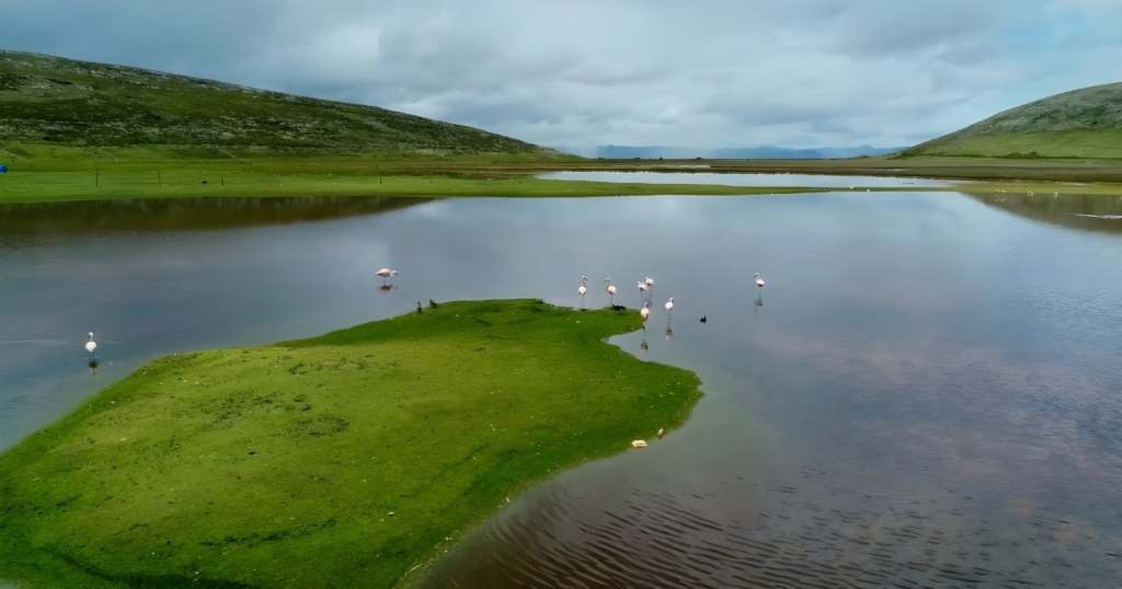 Día Mundial del Medio Ambiente: AMSAC lanza documental sobre remediación en el Delta Upamayo