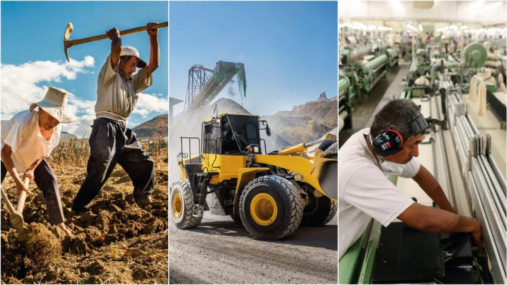 Economía peruana creció 3,33% en 2024 y superó expectativas, ¿qué ...